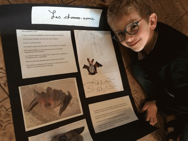 Les Chauves-souris Exposé CE2 - [SCSP-Alès] Société Cévenole de ...